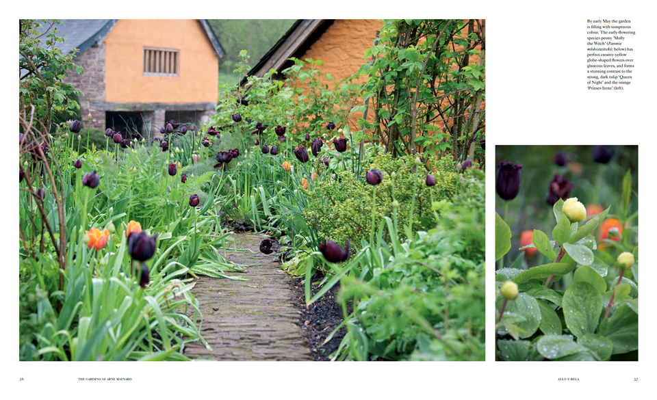The Gardens of Arne Maynard (2015)