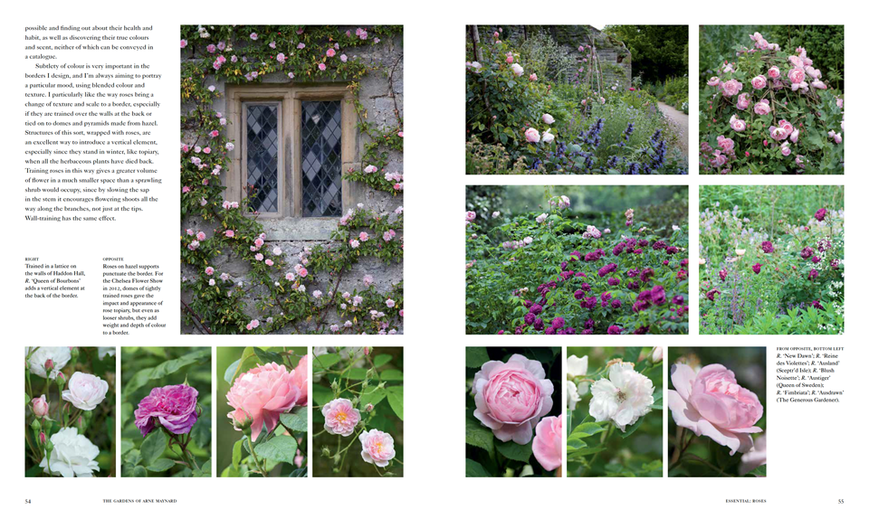 The Gardens of Arne Maynard (2015)